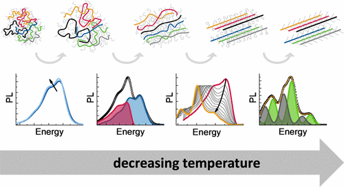 Temperature Induced Order–Disorder Transition in Solutions of ...