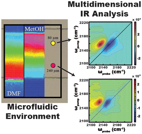High-Throughput Two-Dimensional Infrared (2D IR) Spectroscopy Achieved ...