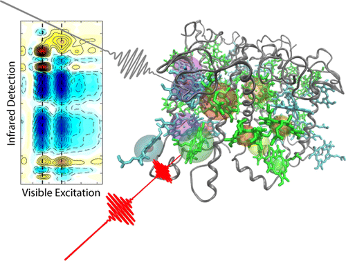 Observation of Electronic Excitation Transfer Through Light Harvesting ...
