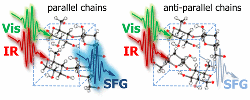 纤维素振动总和频率（SFG）光谱的量子力学计算：CH和OH峰强度对SFG相干域内纤维素链极性的依赖性,The Journal of ...