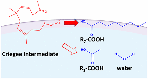 水性有机表面上的Criegee化学,The Journal of Physical Chemistry Letters - X-MOL