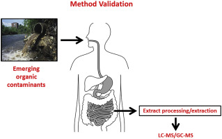 In-vitro physiologically based extraction of solid materials: Do we ...
