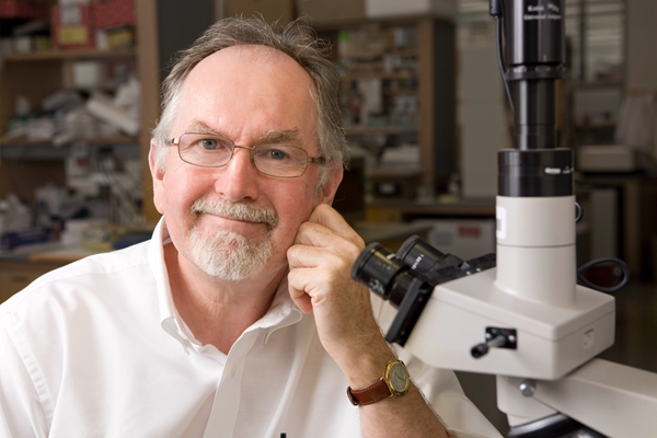 Flavell, Richard A - Yale University - Biological & Biomedical Sciences