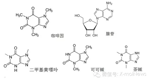 咖啡里的化学，你知道多少？- X-MOL资讯