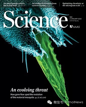 《Science》重磅报道：无需mRNA，蛋白质也可指导合成- X-MOL资讯