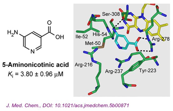 in Silico筛选新DDO抑制剂及其体外功能和结构特征- X-MOL资讯