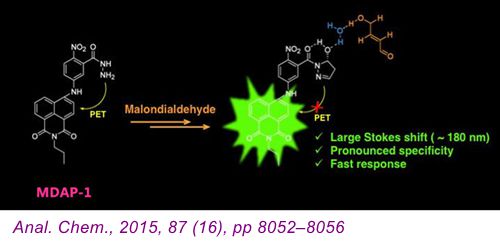 C&EN：细胞内氧化应激过程的可视化- X-MOL资讯