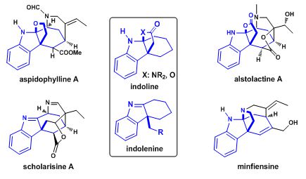 基于aza-pinacol重排策略合成Indolines/Indolenines骨架结构- X-MOL资讯