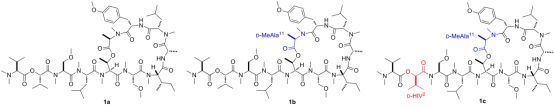 强抗肿瘤活性环酯肽Coibamide A的高效合成及结构修正- X-MOL资讯