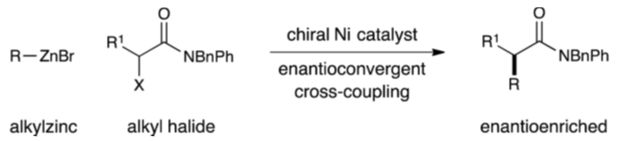 “单电子”让Gregory Fu和David MacMillan两位大牛“镍”在一起- X-MOL资讯