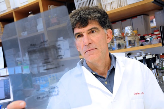 《Science》：“好”胆固醇多了也不一定就是好事- X-MOL资讯