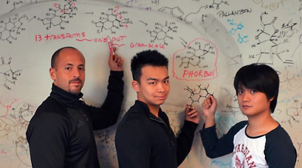 Baran再发“里程碑”级论文，《Nature》报道天然产物phorbol的全合成- X-MOL资讯