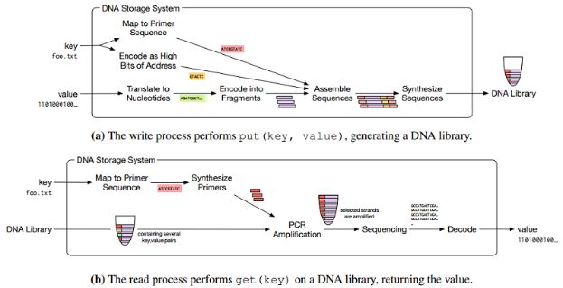 微软再玩黑科技，你的DNA能存多少高清大片？- X-MOL资讯