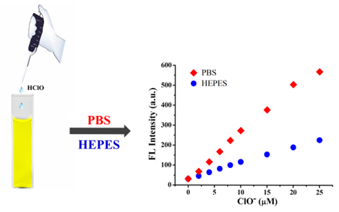 HEPES缓冲体系不适用于次氯酸的荧光检测：一个在纯PBS中检测次氯酸的新型荧光探针- X-MOL资讯