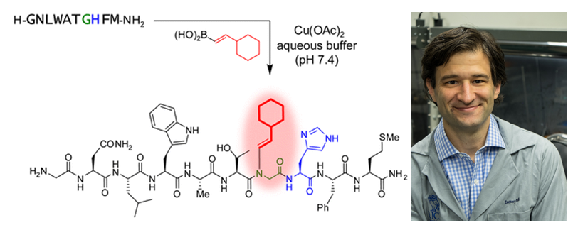 JACS：蛋白质的N-H键活化？- X-MOL资讯
