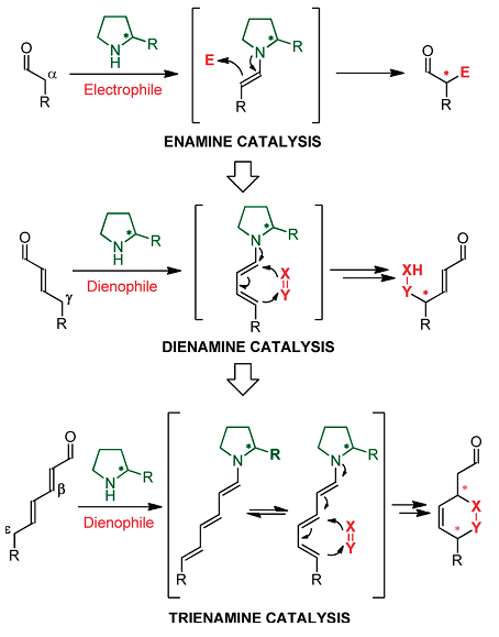 小分子催化大牛Jørgensen：苯并富烯的三烯胺催化，立体选择性合成螺环茚- X-MOL资讯