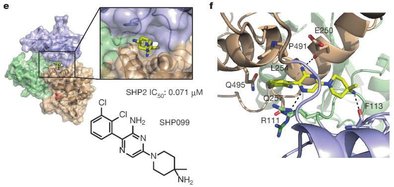 X-MOL盘点：7月化学前沿科研成果精选- X-MOL资讯