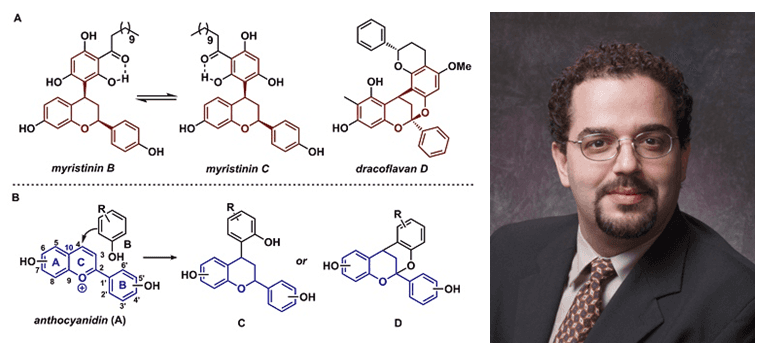 JACS：仿生催化对映选择性制备黄酮类化合物- X-MOL资讯