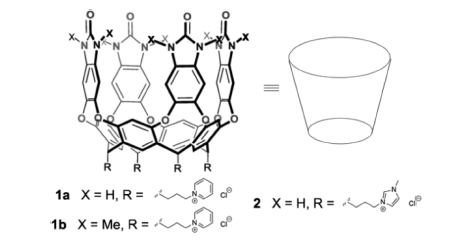 Julius Rebek的两篇JACS，水中的超分子化学- X-MOL资讯