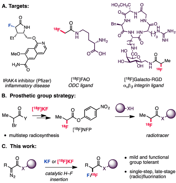 美女教授Doyle在JACS报道制备含放射性氟原子化合物的新方法- X-MOL资讯