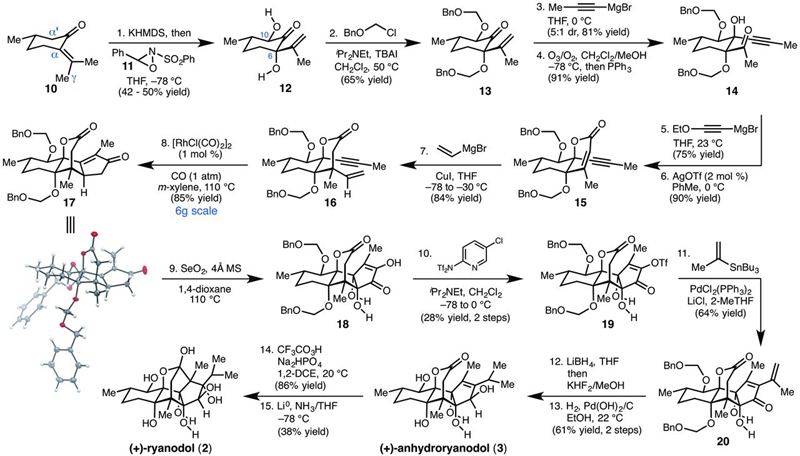 Science：人漂亮，15步合成(+)-ryanodol更漂亮- X-MOL资讯
