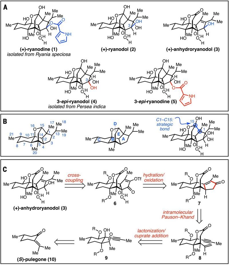 Science：人漂亮，15步合成(+)-ryanodol更漂亮- X-MOL资讯