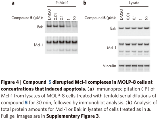 阿斯利康开发出靶向Mcl-1的可逆性共价抑制剂- X-MOL资讯