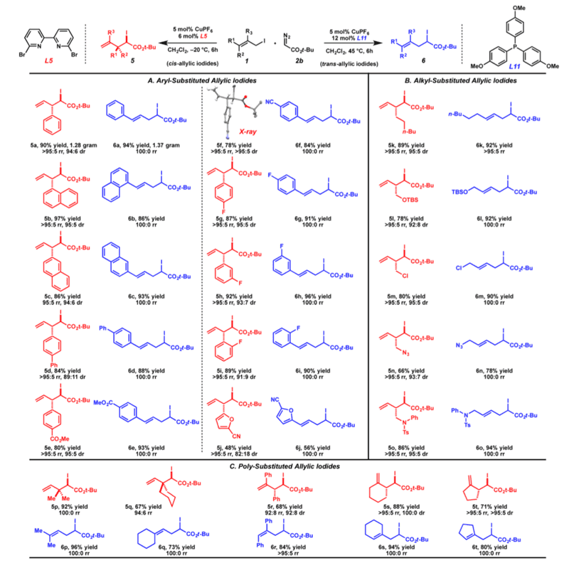 JACS：配体控制的选择性[2,3]/[1,2]-迁移重排反应- X-MOL资讯