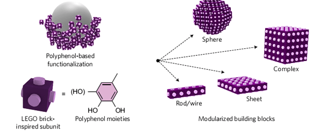 Nature子刊：像“乐高积木”一样轻松组装纳米超结构- X-MOL资讯