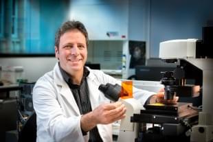 Nature子刊：像“乐高积木”一样轻松组装纳米超结构- X-MOL资讯