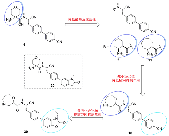 从减毒增效到临床试验：AZD7986，慢性阻塞性肺病治疗领域新分子- X-MOL资讯