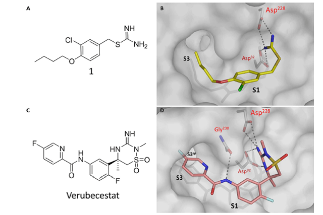 为了忘却的记忆——默克抗阿尔兹海默症新药挺进三期临床- X-MOL资讯