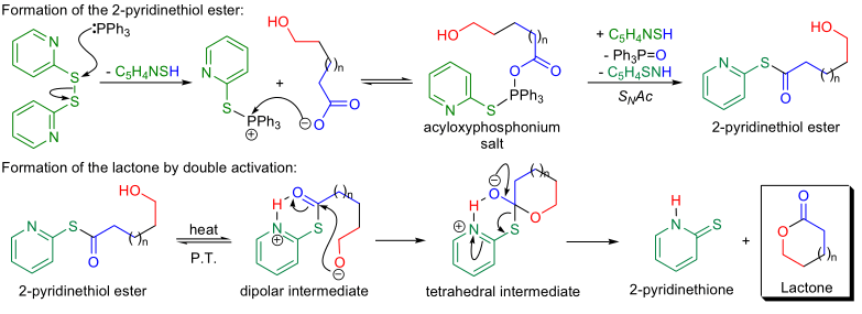 有机合成一代宗师——K. C. Nicolaou教授- X-MOL资讯