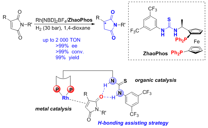 硫脲协作的铑双膦配体催化氢化：高效合成手性琥珀酰亚胺- X-MOL资讯