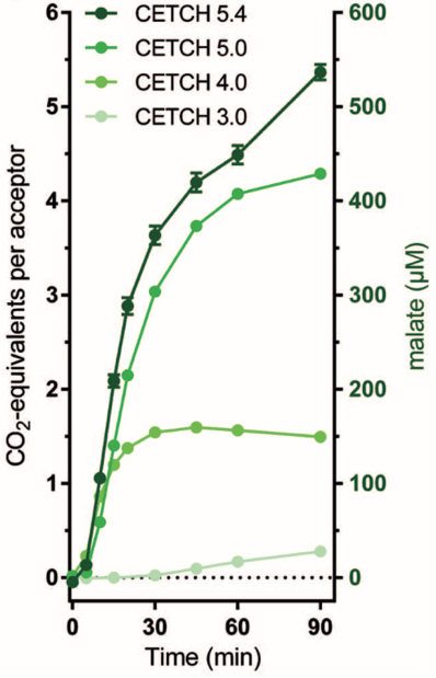 超越“自然”：Science报道酶催化固碳新进展- X-MOL资讯
