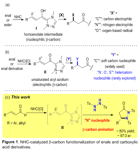卡宾催化不对称C-N键构筑及功能分子合成- X-MOL资讯