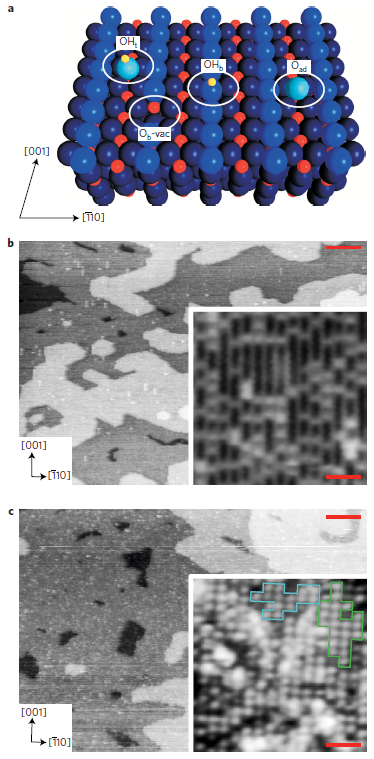 Nature Mater.：TiO2-H2O界面在原子尺度的结构和相互作用机制- X-MOL资讯