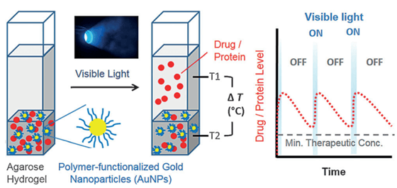 Angew：治疗蛋白光响应可控释放的新突破- X-MOL资讯