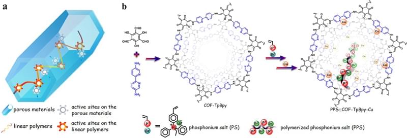 多相协作催化：柔动性是关键- X-MOL资讯