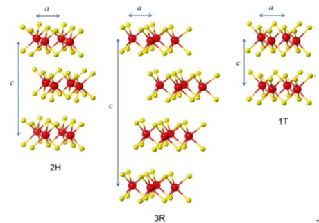 MoS2及相关材料电催化和光电催化析氢研究进展- X-MOL资讯