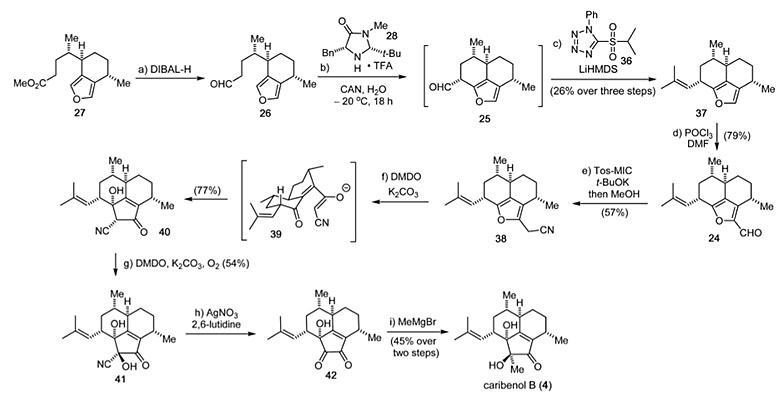Trauner组发表JACS：Caribenol A和Caribenol B的全合成- X-MOL资讯