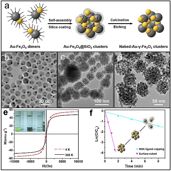 SiO2封装保护法制备表面清洁、磁性可回收的Au-γ-Fe2O3介孔团簇高效催化剂- X-MOL资讯