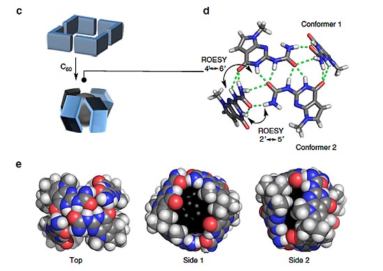 Nat. Commun.：氢键自组装的超分子纳米管- X-MOL资讯