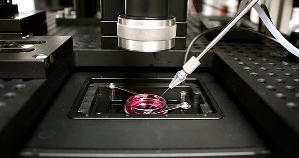 超高速光学影像技术解析早期病毒感染细胞的过程- X-MOL资讯