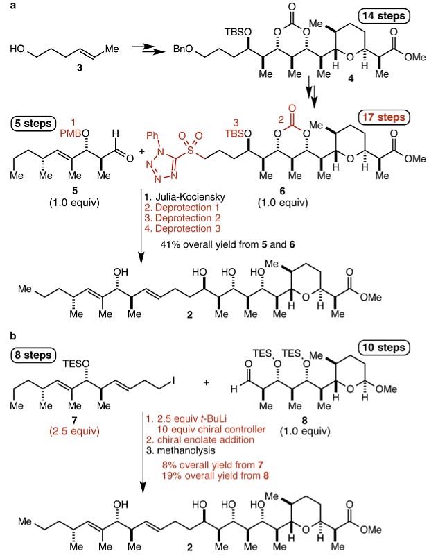 哥大Leighton组JACS：9步高效全合成Zincophorin甲酯- X-MOL资讯