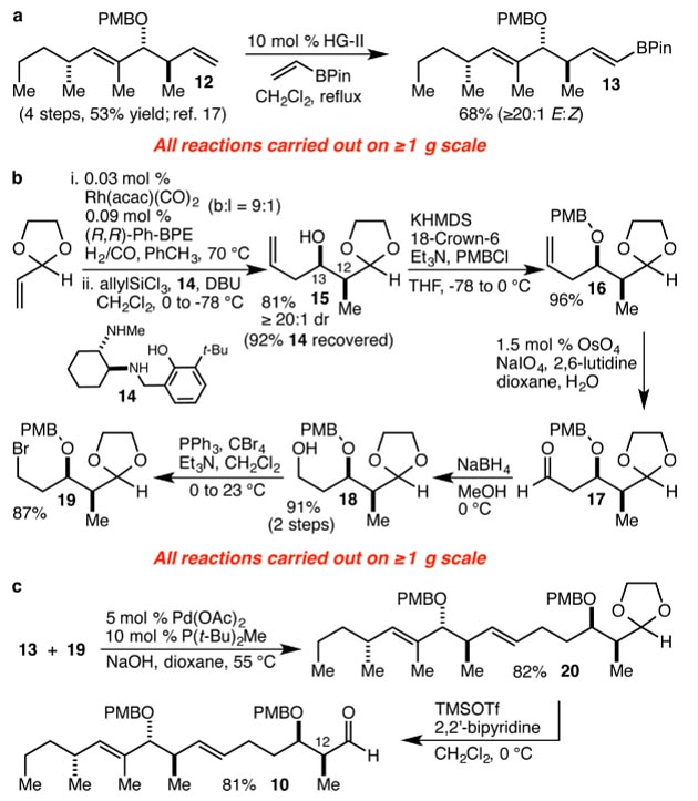 哥大Leighton组JACS：9步高效全合成Zincophorin甲酯- X-MOL资讯