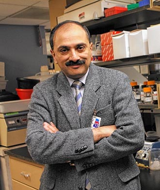 Nature：广场舞大妈的福音，减肥和骨质疏松一次搞定- X-MOL资讯