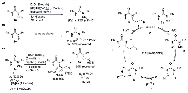 Angew: Ir催化的C(sp3)-H键活化- X-MOL资讯