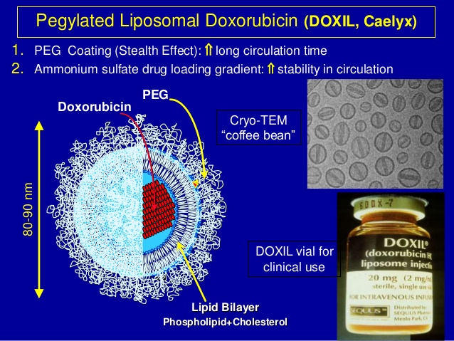 Science子刊：放疗“引爆”血管，让纳米药物更高效- X-MOL资讯