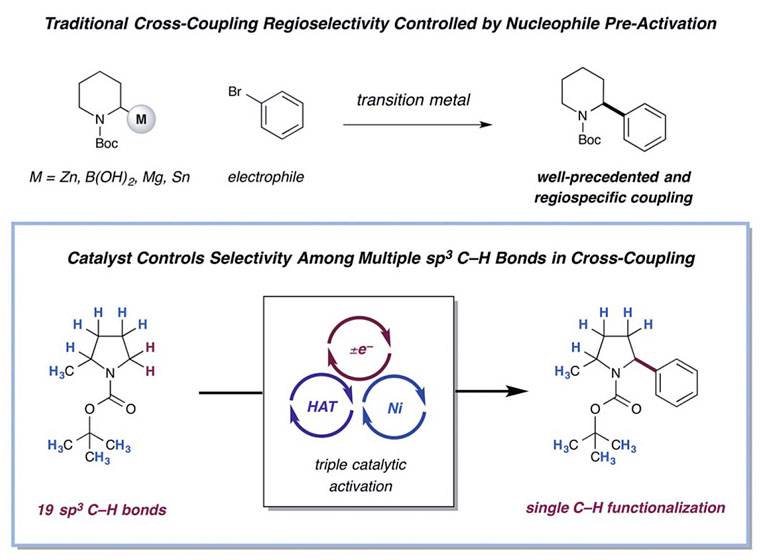 借“极”用“韧”：MacMillan报道极性匹配的选择性C(sp3)-H键烷基化反应- X-MOL资讯
